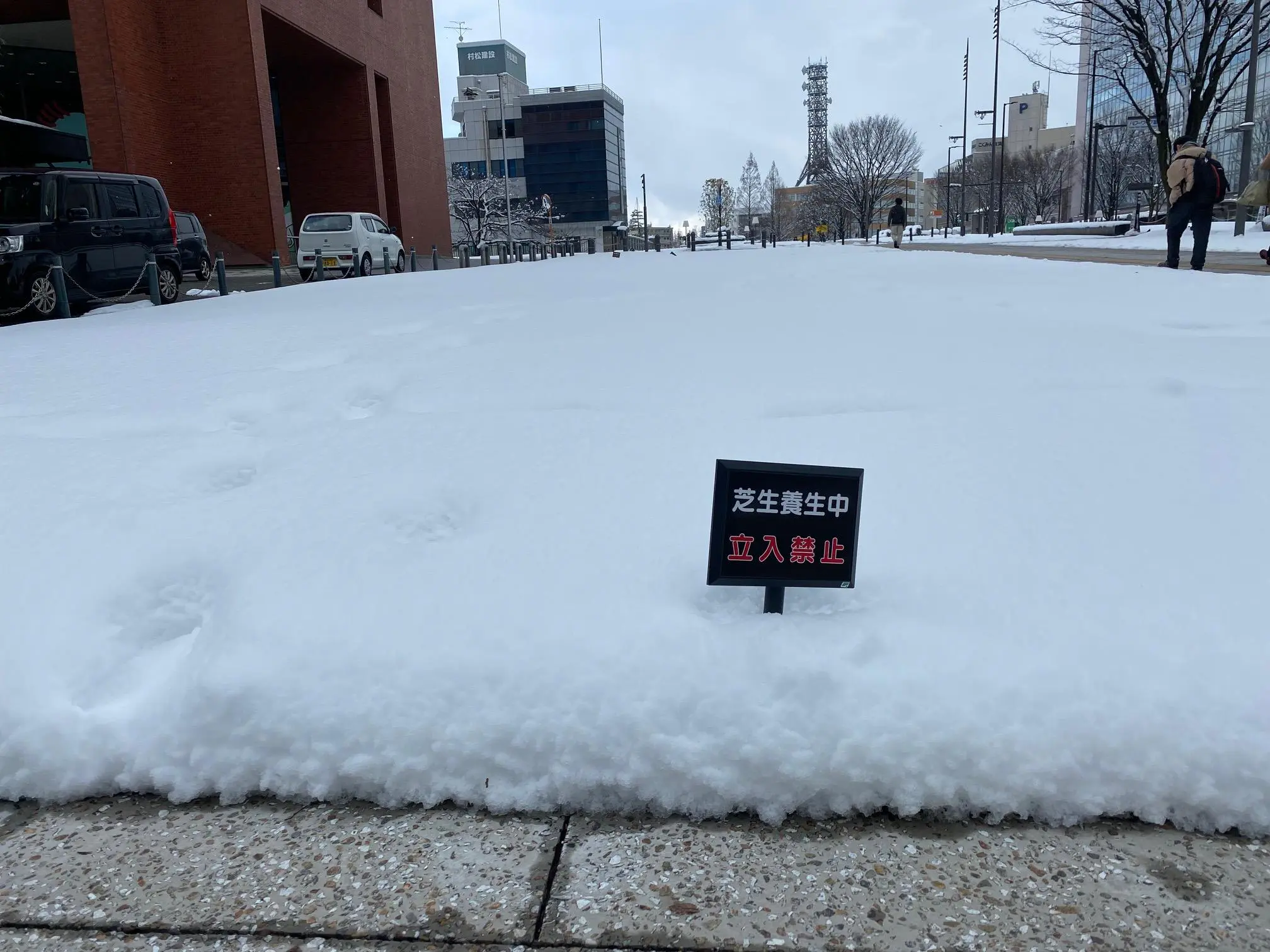 富山百景！冬の芝？！週刊SATO！｜佐藤 栄治｜ アナウンサー｜KNB WEB｜北日本放送｜ラジオ・テレビ局発！富山の最新情報サイト