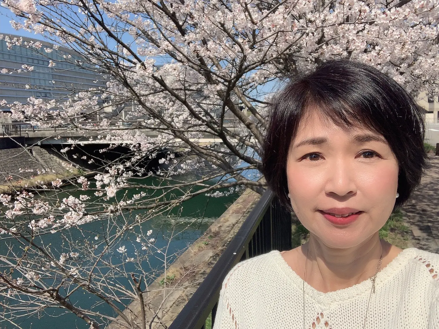 桜の花に想う＆visionは「伝えること」へのエネルギー｜平島 亜由美｜ アナウンサー｜knb Web｜北日本放送｜ラジオ・テレビ局発！富山の