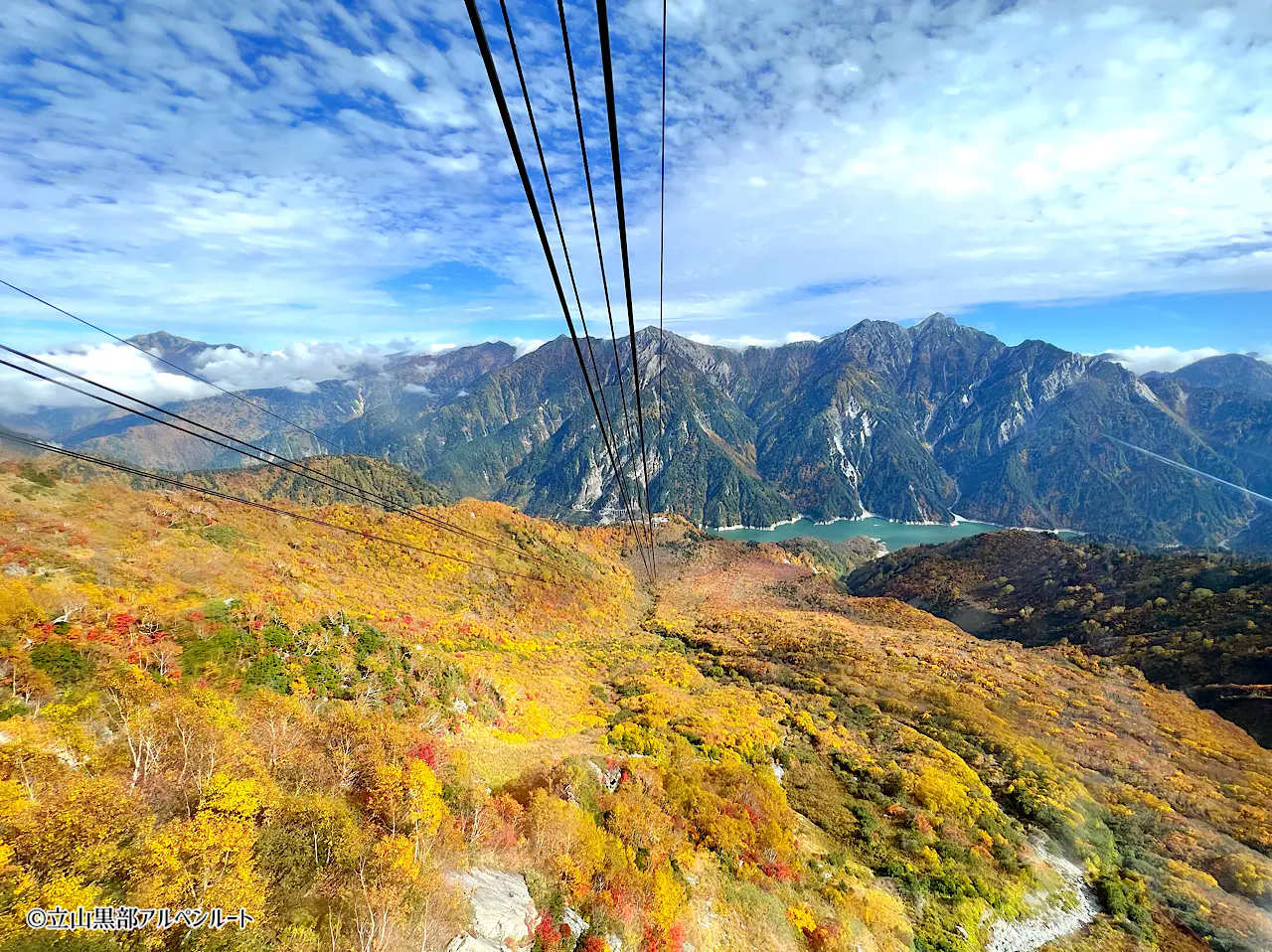 富山の紅葉2025【黒部ダム｜立山黒部アルペンルート】高さ日本一の堰堤からの眺めは壮観! ピークは10月半ば 紅葉楽しむなら富山側ルートが ｜おでかけ｜nan-nan｜富山を楽しむオススメ情報