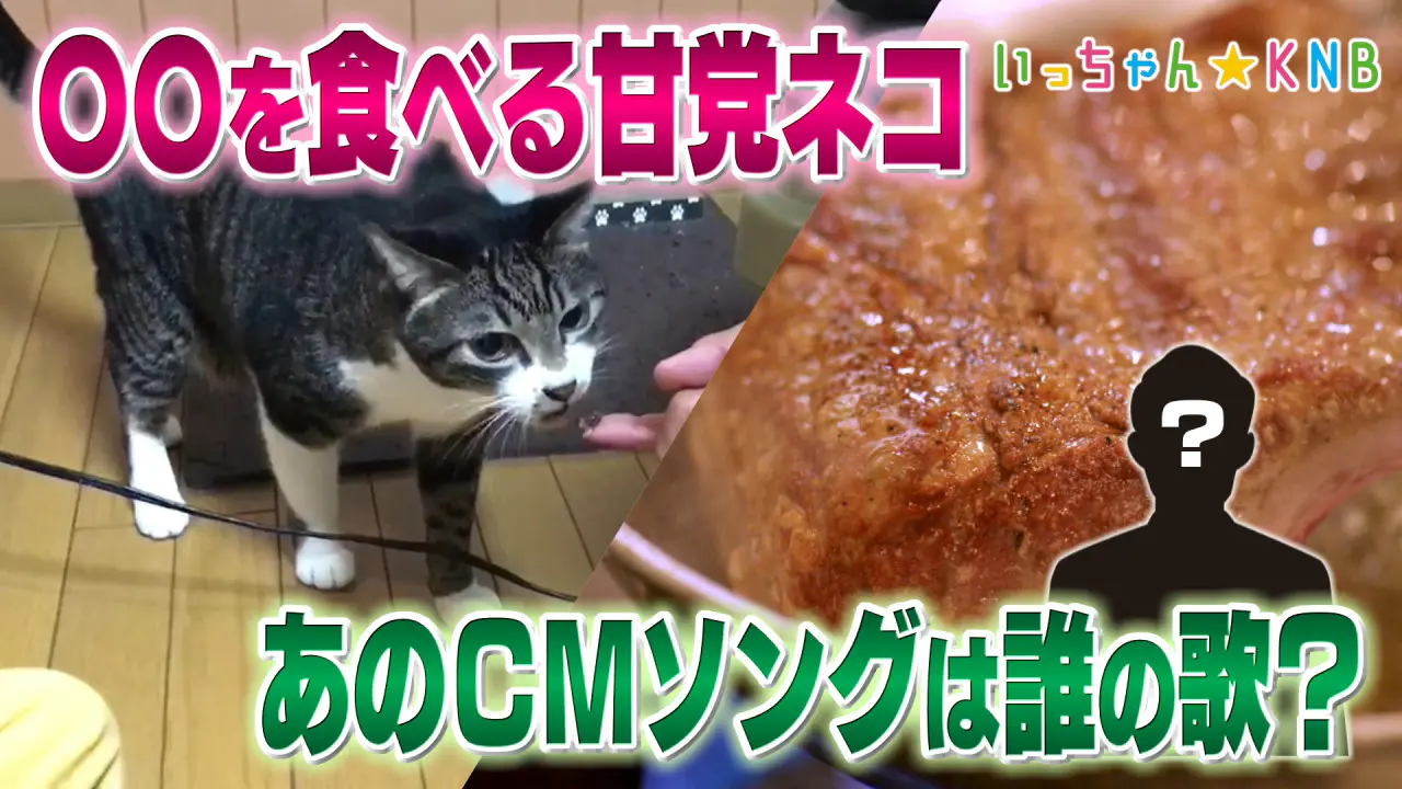 11月1日（金）のいっちゃん☆KNBは…｜いっちゃん☆KNB｜KNB WEB｜北日本放送｜ラジオ・テレビ局発！富山の最新情報サイト