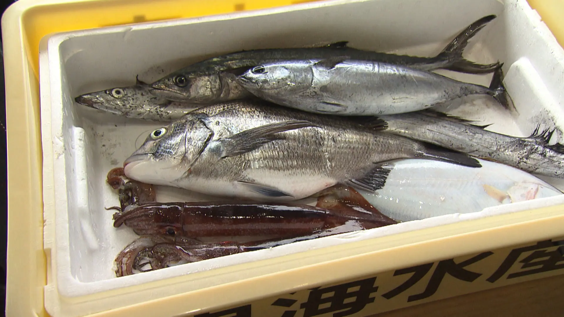さばき方や魚料理まで教えてもらえる港町の鮮魚＆干物店【IMATO】射水・新湊｜おでかけ｜nan-nan｜富山を楽しむオススメ情報