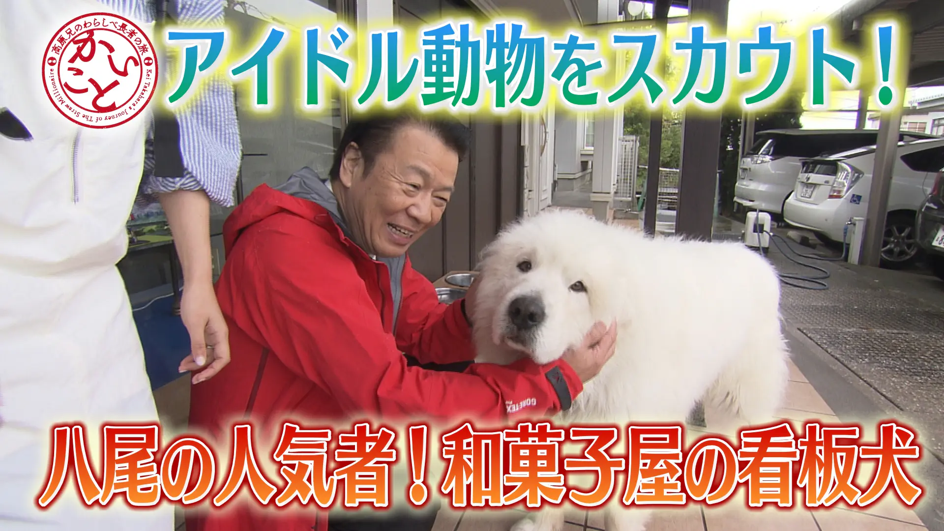 5月8日（水）のいっちゃん☆KNBは…｜いっちゃん☆KNB｜KNB WEB｜北日本放送｜ラジオ・テレビ局発！富山の最新情報サイト