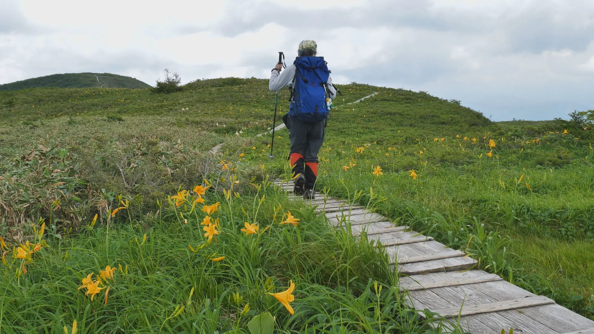 KNBふるさとスペシャル「2023旬景とやまスペシャル ふるさとの花景色を探して」12月30日（土）午後5時30分 4Kカメラがとらえた ...
