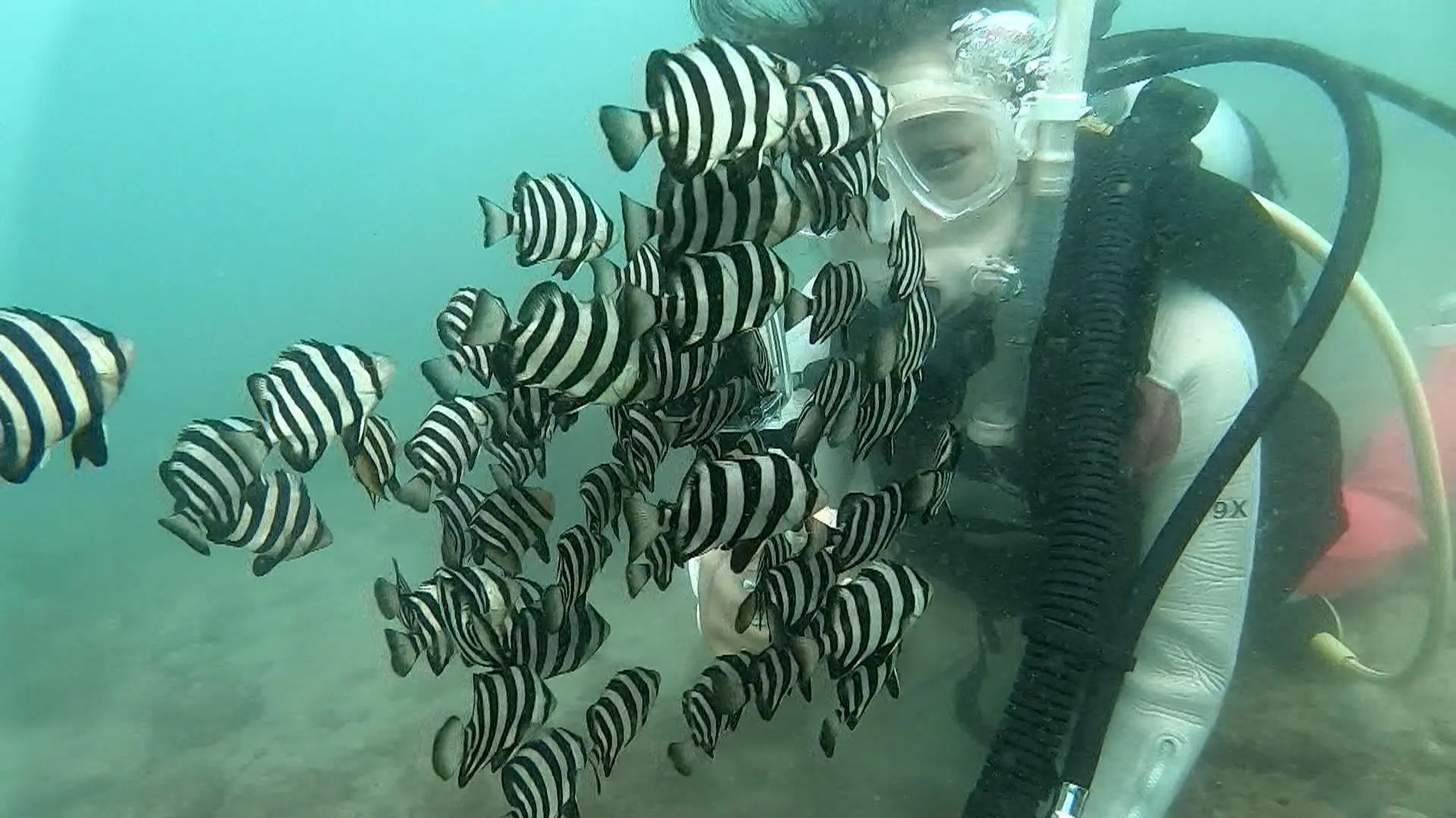 8月24日（木）のいっちゃん☆KNBは…｜いっちゃん☆KNB｜KNB WEB｜北日本放送｜ラジオ・テレビ局発！富山の最新情報サイト