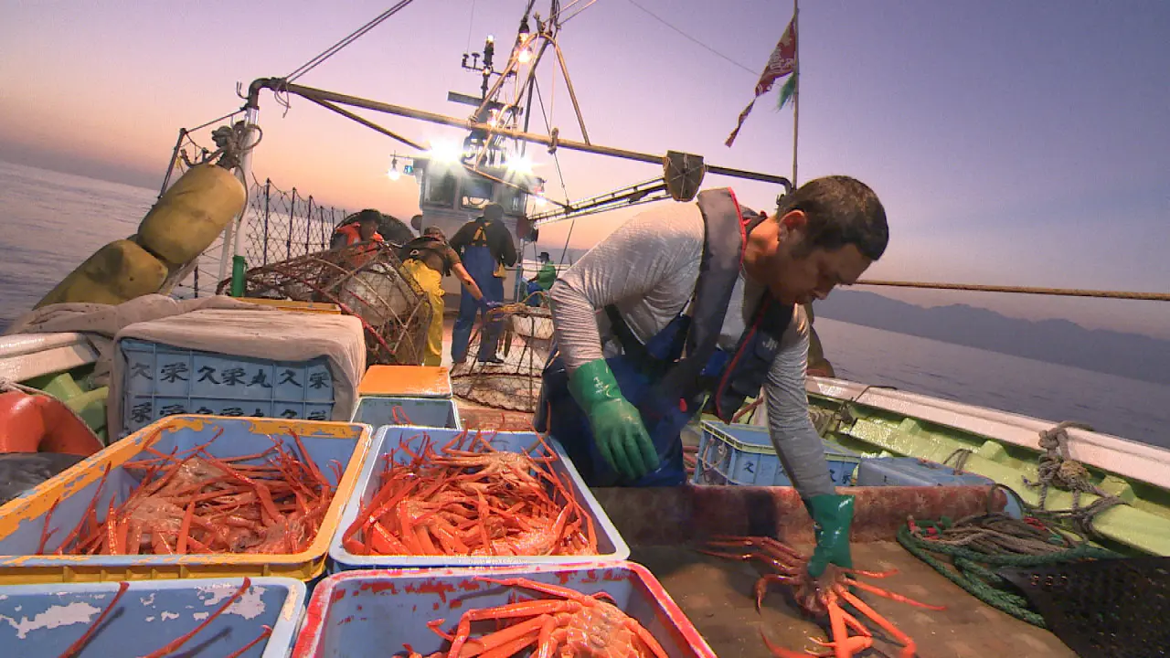 KNBふるさとスペシャル「割れた藍瓶～能登半島地震と富山湾～」 9月29日（日）午後4時放送【ダイジェスト30秒】｜KNBふるさとスペシャル｜KNB WEB｜北日本放送｜ラジオ・テレビ局発 ...