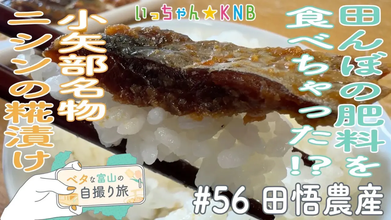 7月29日（火）のいっちゃん☆KNBは…｜いっちゃん☆KNB｜KNB WEB｜北日本放送｜ラジオ・テレビ局発！富山の最新情報サイト