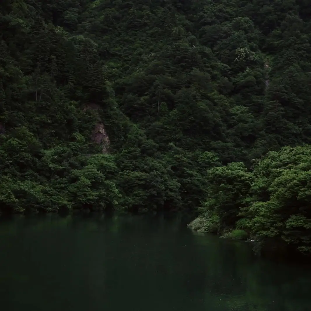 新連載【UNDERCURRENT / 海と街と山】#1 Choose life －－ 私が山へ向かった理由｜暮らし｜nan-nan｜富山を ...